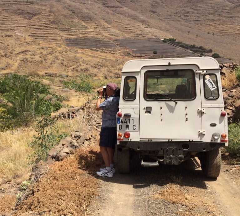 Bird watching | The Lanzarote Eco Insider